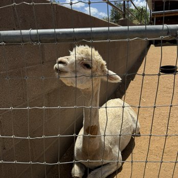 HERITAGE PARK ZOOLOGICAL SANCTUARY - Updated December 2025 - 147 Photos ...