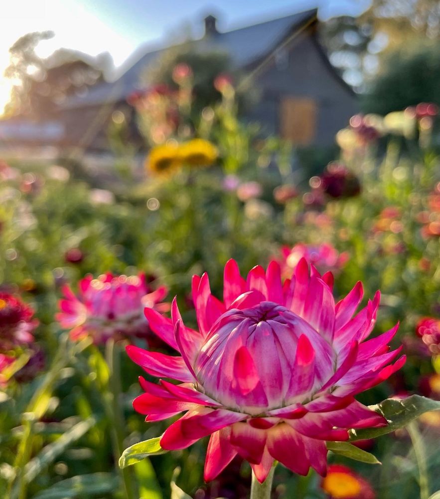 SONOMA GREY BARN FARM - Updated October 2024 - 38 Photos - 790 Peru Rd ...