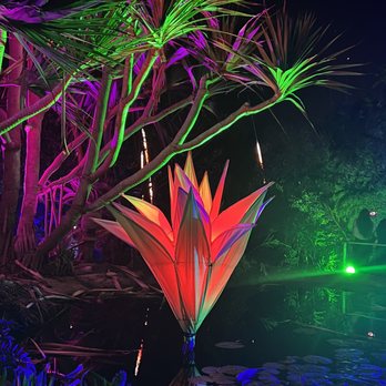 LIGHTSCAPE SAN DIEGO - Updated November 2024 - 189 Photos & 38 Reviews ...