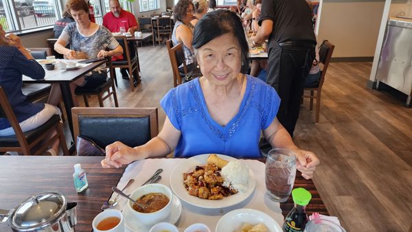 CHINA GARDEN - Updated December 2025 - 85 Photos & 177 Reviews - 506 W ...