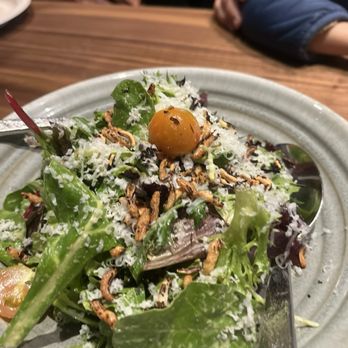 STAR LEAF - Updated June 2025 - 2837 Photos & 688 Reviews - 641 E ...