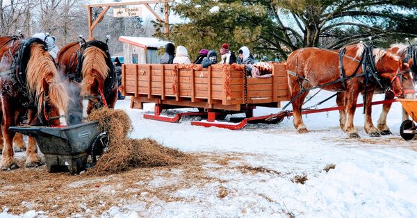 RED RIDGE RANCH RIDING STABLES - Updated January 2025 - 92 Photos & 54 ...