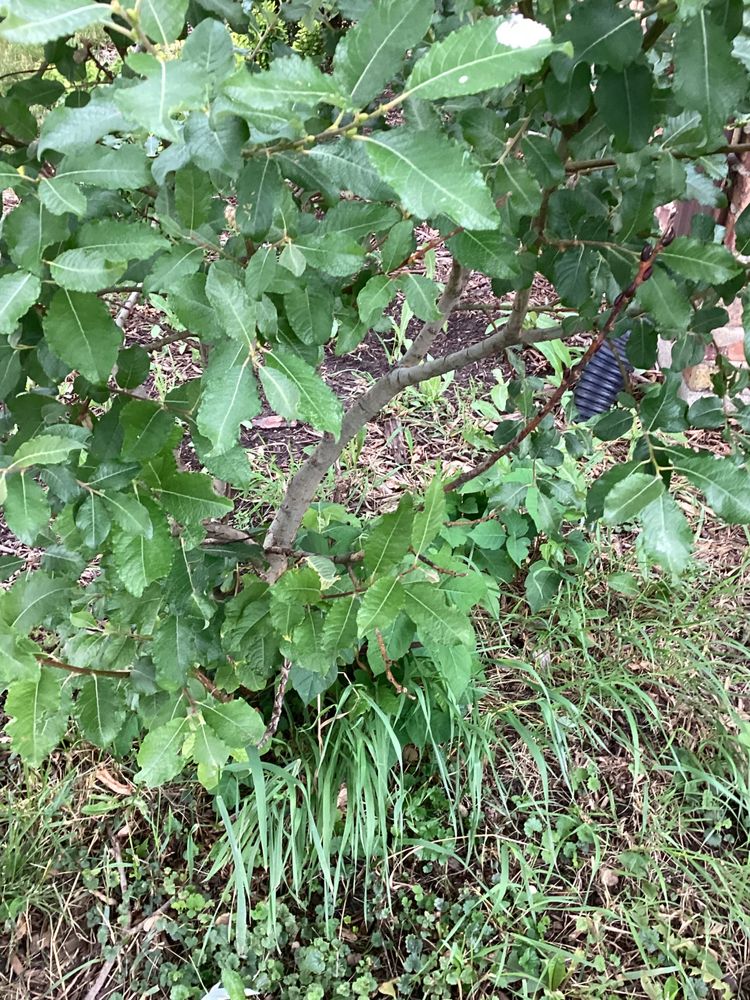 KRISPY CLEAN CLEANING SERVICE - Updated July 2025 - Request a Quote ...