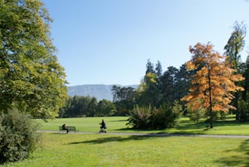 PARC BERTRAND - Updated March 2024 - Avenue Alfred Bertrand, Genève ...