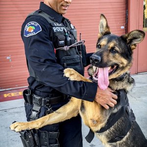 ANAHEIM POLICE DEPARTMENT - Updated January 2026 - 51 Photos & 131 ...