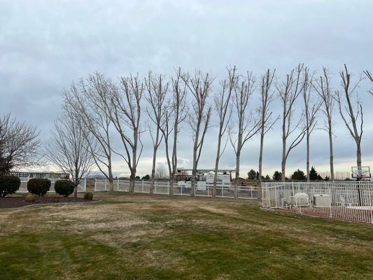 ELITE TREE SERVICE - Updated June 2025 - 16 Photos - 115 NW Boardman ...