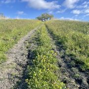 SHELL RIDGE OPEN SPACE - 305 Photos & 56 Reviews - 1035 Castle Rock Rd ...