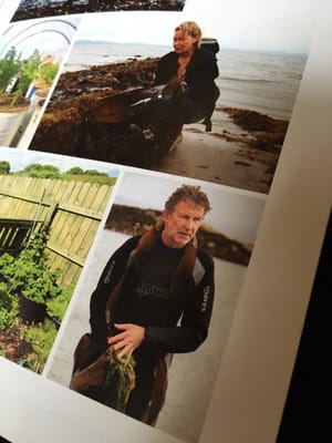 VOYA SEAWEED BATHS - Updated January 2026 - 13 Photos & 11 Reviews ...