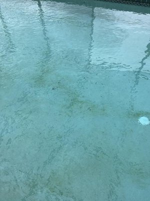 PINCH A PENNY POOL PATIO SPA - Updated January 2026 - 1245 US 41 Bypass ...