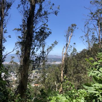 MOUNT SUTRO - Updated July 2025 - 389 Photos & 114 Reviews - Medical ...