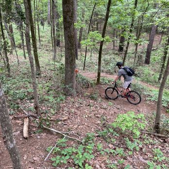 TYLER STATE PARK - Updated November 2024 - 145 Photos & 74 Reviews ...