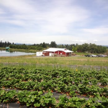 UNGER FARMS - Updated December 2025 - 86 Photos & 22 Reviews - 34180 SW ...