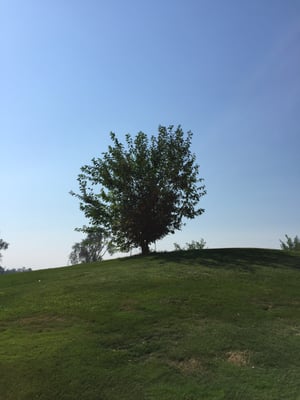 COLUMBIA POINT GOLF COURSE - Updated December 2025 - 16 Photos & 18 ...