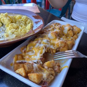 CABO WABO CANTINA - 1733 Photos & 1785 Reviews - Mexican - 3663 Las ...