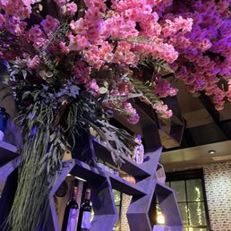 LAZY FISH - Updated January 2026 - 499 Photos & 525 Reviews - 10 E ...