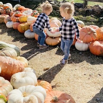 FOWLER PUMPKIN PATCH - Updated December 2025 - 32 Photos - 5060 N Greene County Line Rd ...