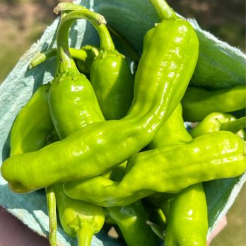 SUB EDGE FARM - Updated October 2025 - 112 Photos - 199 Town Farm Rd ...