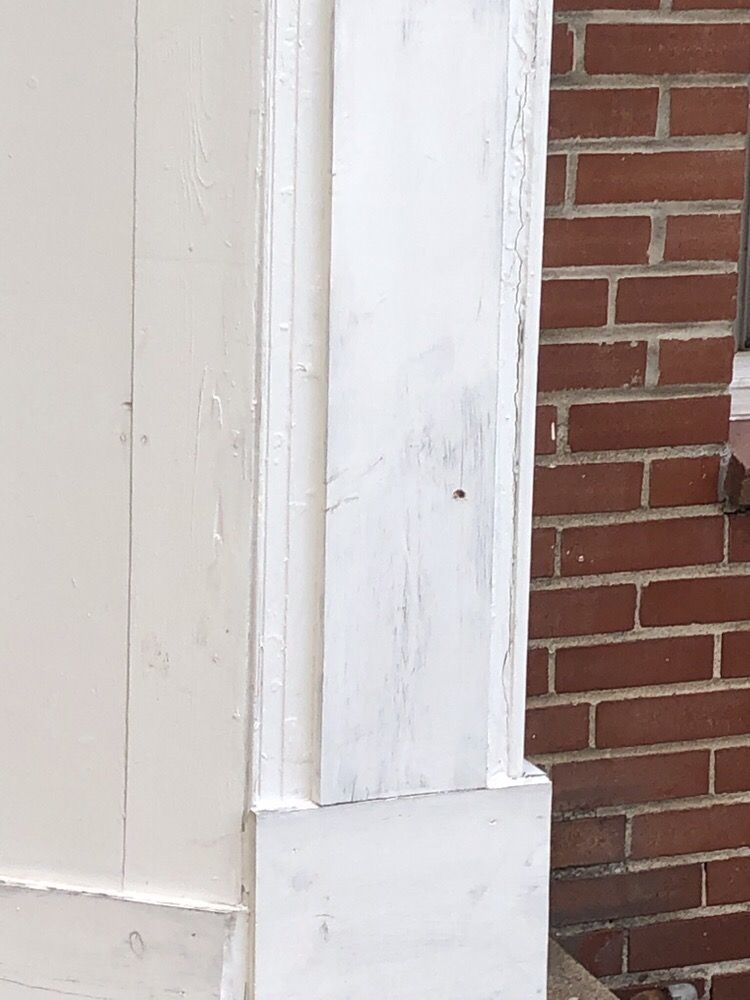 FREEMAN WEBB COMPANIES - Updated June 2024 - 545 Mainstream Dr ...