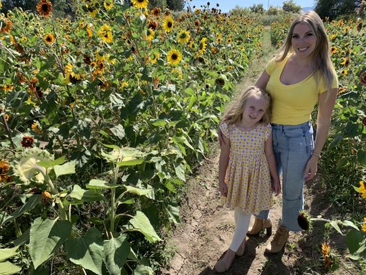 FERRARI FARMS - Updated November 2024 - 172 Photos & 67 Reviews - 4701 ...