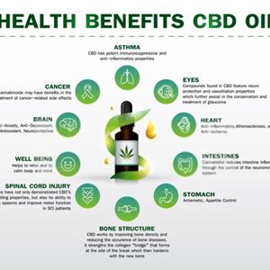 BLUEPOINT WELLNESS OF WESTPORT - Updated July 2025 - 17 Photos - 1460 ...