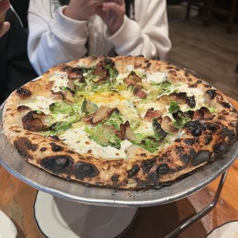 BARBUZZO - 3559 Photos & 3249 Reviews - 110 S 13th St, Philadelphia ...