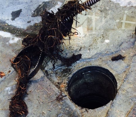 Razor Rooter Plumbing - Updated October 2025 - 52 Photos - 85 Reviews ...