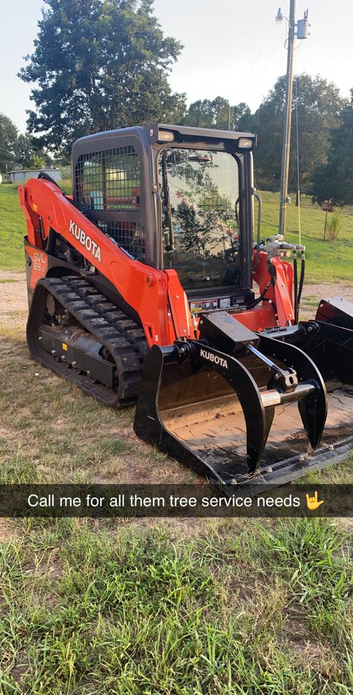 B&V TREE SERVICE - Updated July 2024 - Sarah, Mississippi - Tree ...