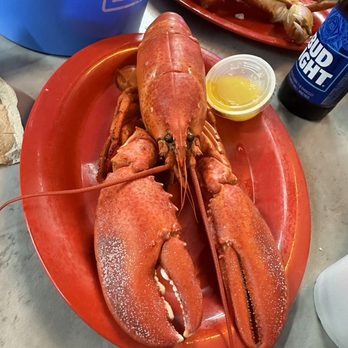 DEWY DEW BUGZ - Updated August 2024 - 19 Photos & 22 Reviews - 9419 ...