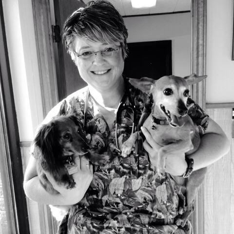 FREEMAN VETERINARY CLINIC - Updated July 2025 - 1702 NW Ferris Ave ...