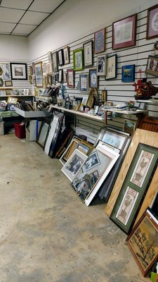 HUMANE SOCIETY OF NORTH CENTRAL FLORIDA - 25 Photos & 16 Reviews - 4205 ...