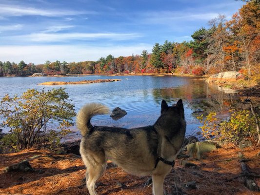 BREAKHEART RESERVATION - 158 Photos & 83 Reviews - Parks - 177 Forest ...