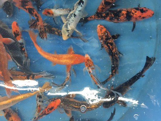 JONES LAKE MANAGEMENT - Updated January 2026 - 16 Photos - 3433 Church ...