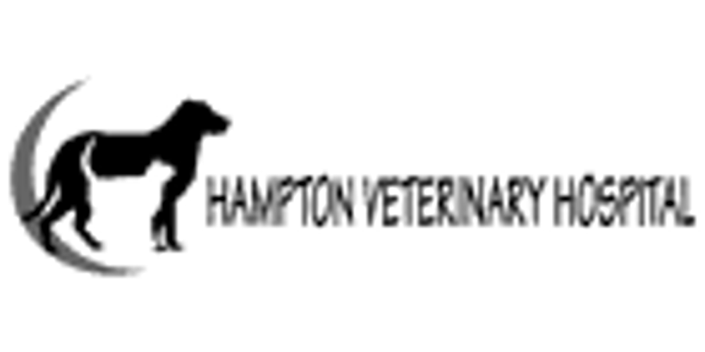 HAMPTON VETERINARY HOSPITAL - Updated January 2025 - 510 Main Street ...