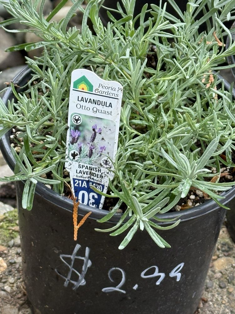 PARKROSE HARDWARE - Updated November 2025 - 20 Photos & 17 Reviews ...