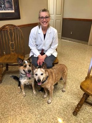 ALEX-BELL VETERINARY CLINIC - Updated January 2025 - 12 Photos & 10 ...