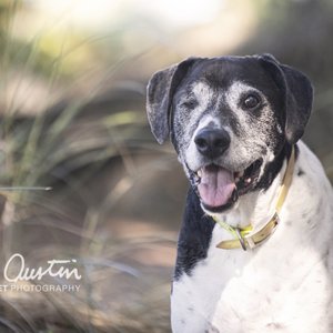 MCLENDON HARDWARE - Updated November 2025 - 80 Photos & 188 Reviews ...