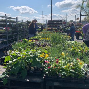 SECOND CHANCE PLANTS - Updated December 2025 - 18 Reviews - 1201 ...