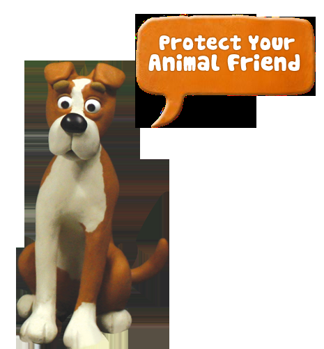 ANIMAL FRIENDS INSURANCE - Updated December 2025 - No 1 The Crescent ...