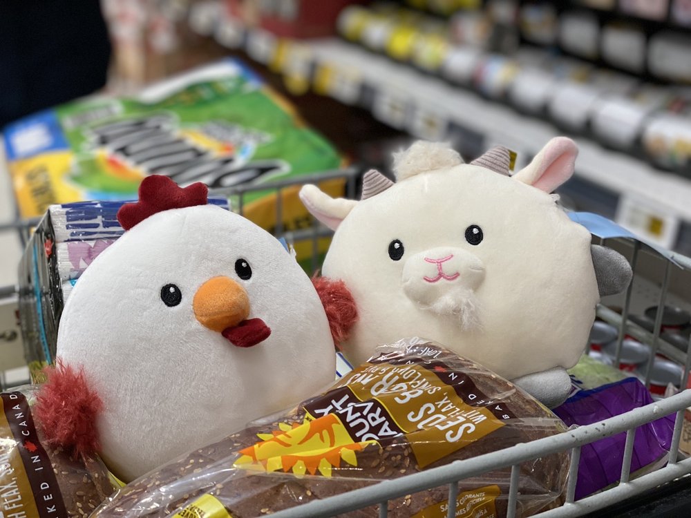 REAL CANADIAN SUPERSTORE - Updated December 2025 - 348 Photos & 30 ...