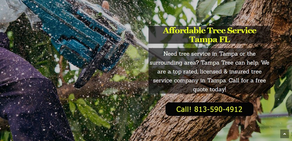 TAMPA TREE PROS - Updated November 2024 - 625 E Twiggs St, Tampa ...