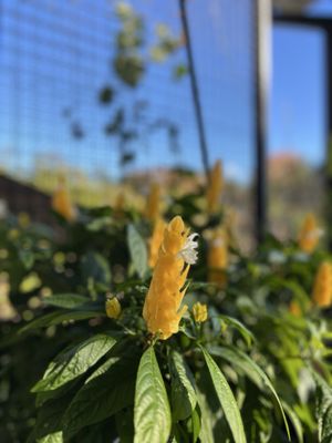 THE 10 BEST Things to Do in Goobertown, AR - 2025 - Yelp