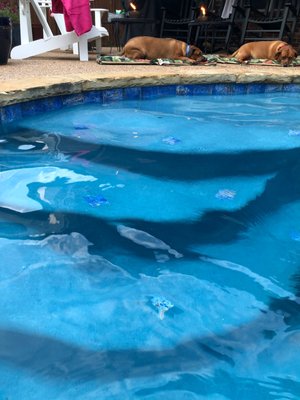 COWTOWN POOLS - Updated August 2024 - 26 Photos & 18 Reviews - 2513 ...