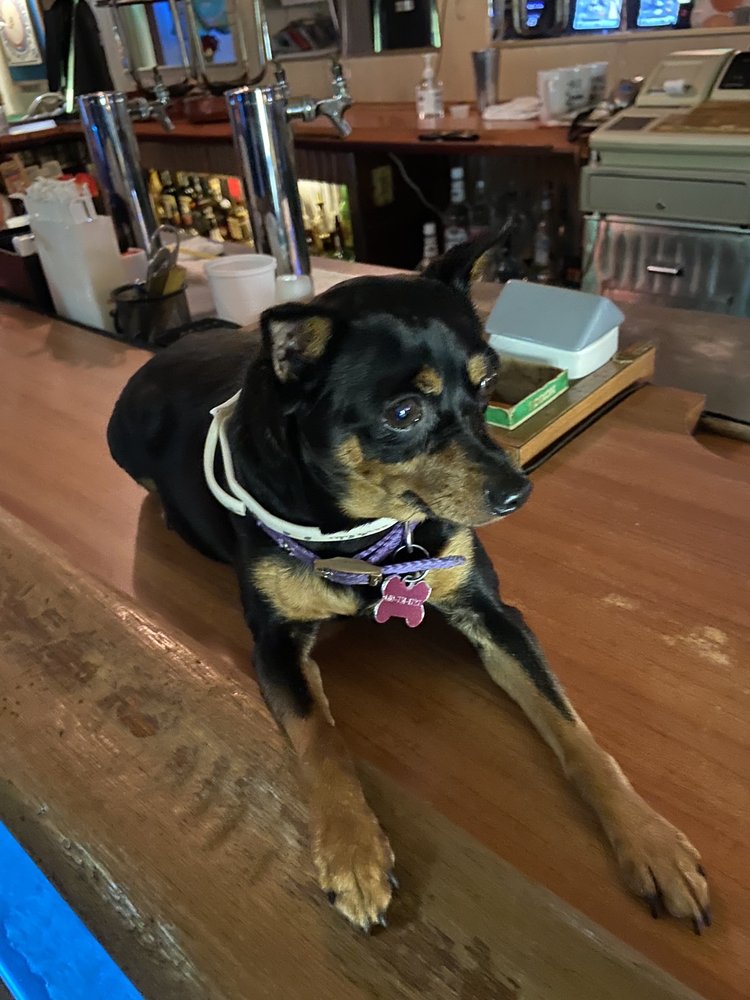SECANE STATION TAVERN - Updated June 2025 - 15 Photos - 611 South Ave ... SECANE STATION TAVERN - Updated June 2025 - 15 Photos - 611 South Ave ...