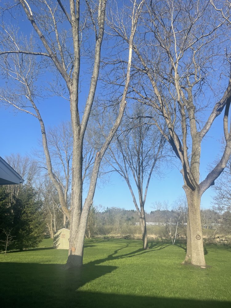 BUSY BEAVERS TREE SERVICE & MORE - Updated October 2025 - Johnsburg ...