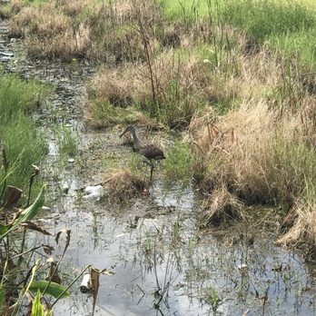 LAKE SHIPP PARK - Updated October 2025 - 77 Photos - 1605 Lake Shipp Dr ...