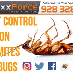 MAXX FORCE PEST CONTROL - 35 Photos - Yuma, Arizona - Pest Control ...
