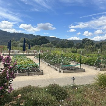 BRIX - Updated February 2025 - 2786 Photos & 1698 Reviews - 7377 St ...