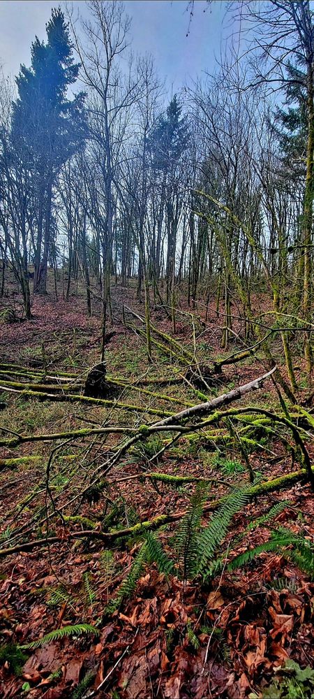 COOKS BUTTE PARK - Updated October 2025 - 33 Photos - 2266 Palisades ...