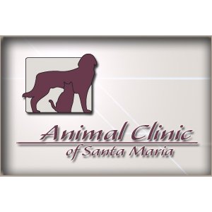 ANIMAL CLINIC OF SANTA MARIA - Updated October 2025 - 30 Photos & 39 ...