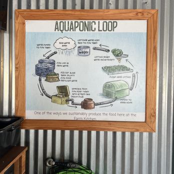 FAT BEET FARM - Updated December 2024 - 256 Photos & 136 Reviews ...